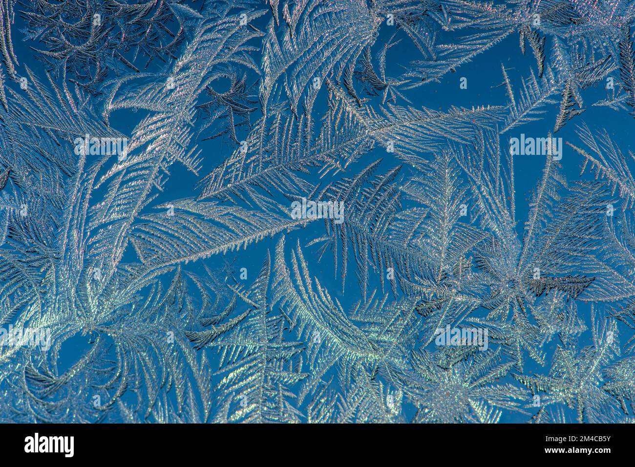 Window frost, Greater Sudbury, Ontario, Canada Stock Photo - Alamy