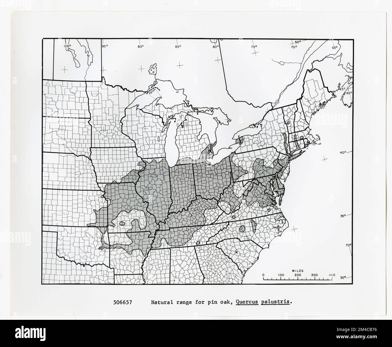 Maps and Charts - All States. Photographs Relating to National Forests ...