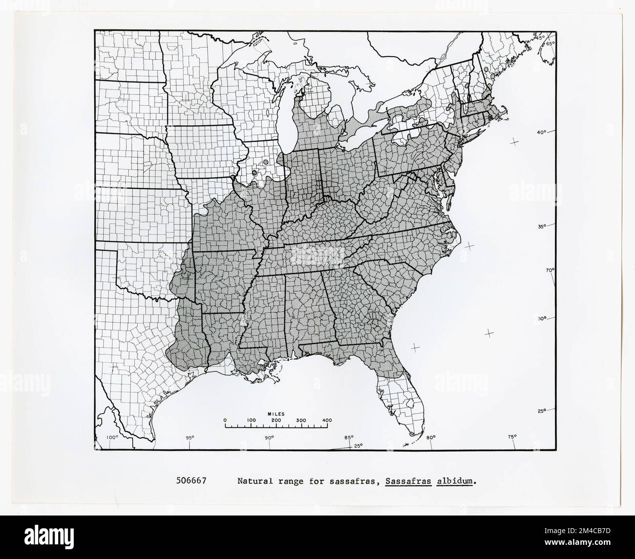 Maps and Charts - All States. Photographs Relating to National Forests ...