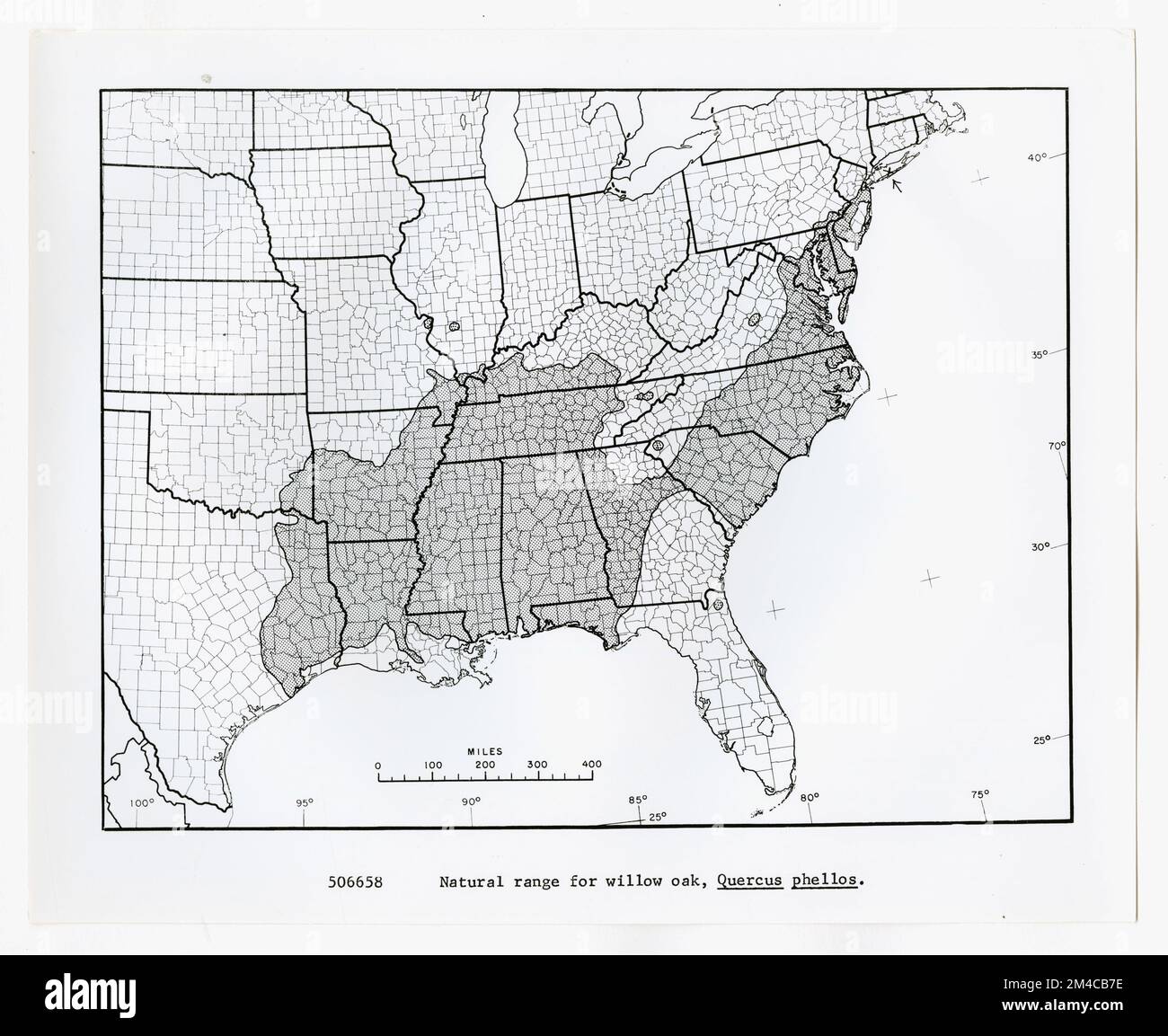 Maps and Charts - All States. Photographs Relating to National Forests ...
