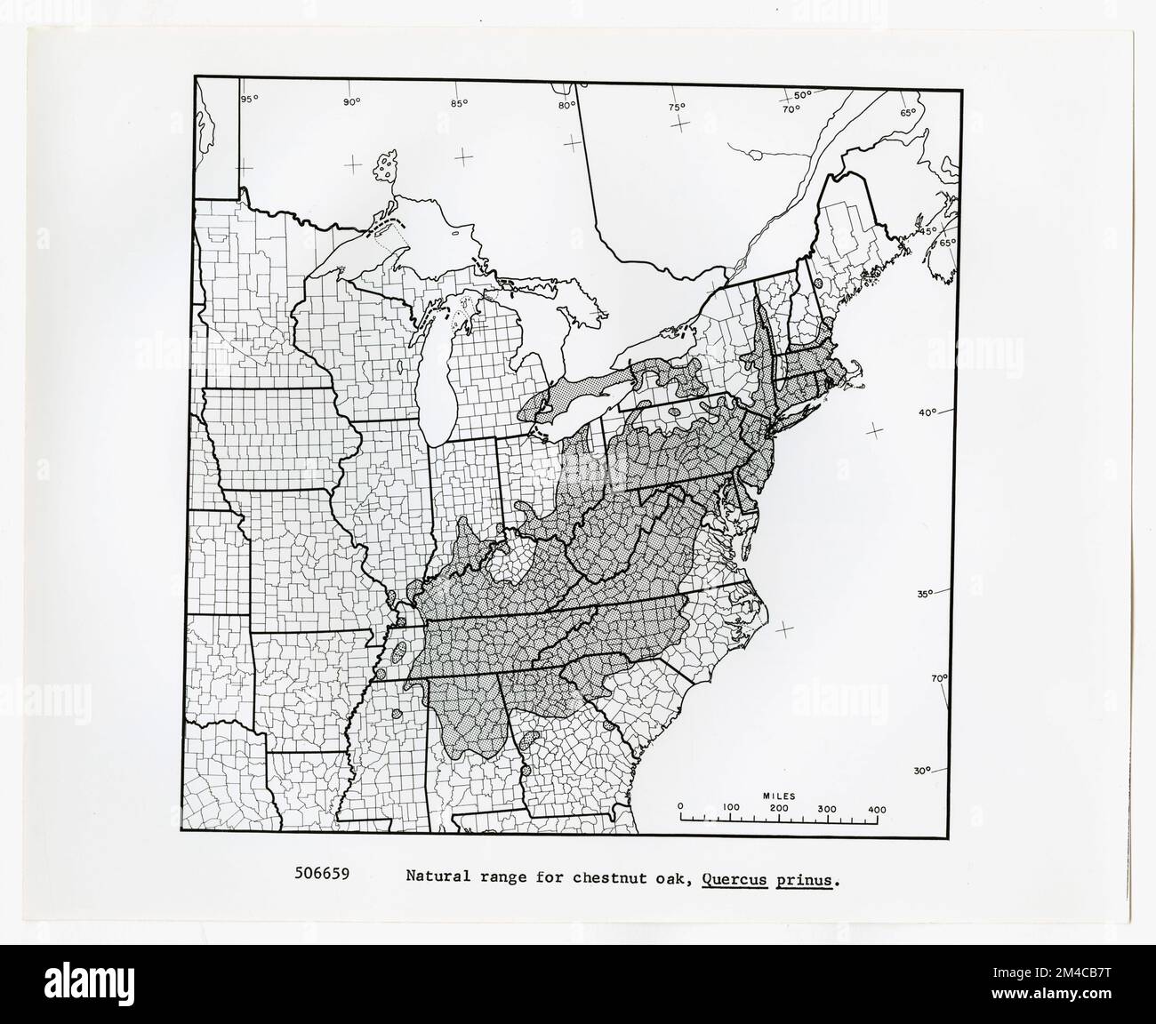 Maps and Charts - All States. Photographs Relating to National Forests ...