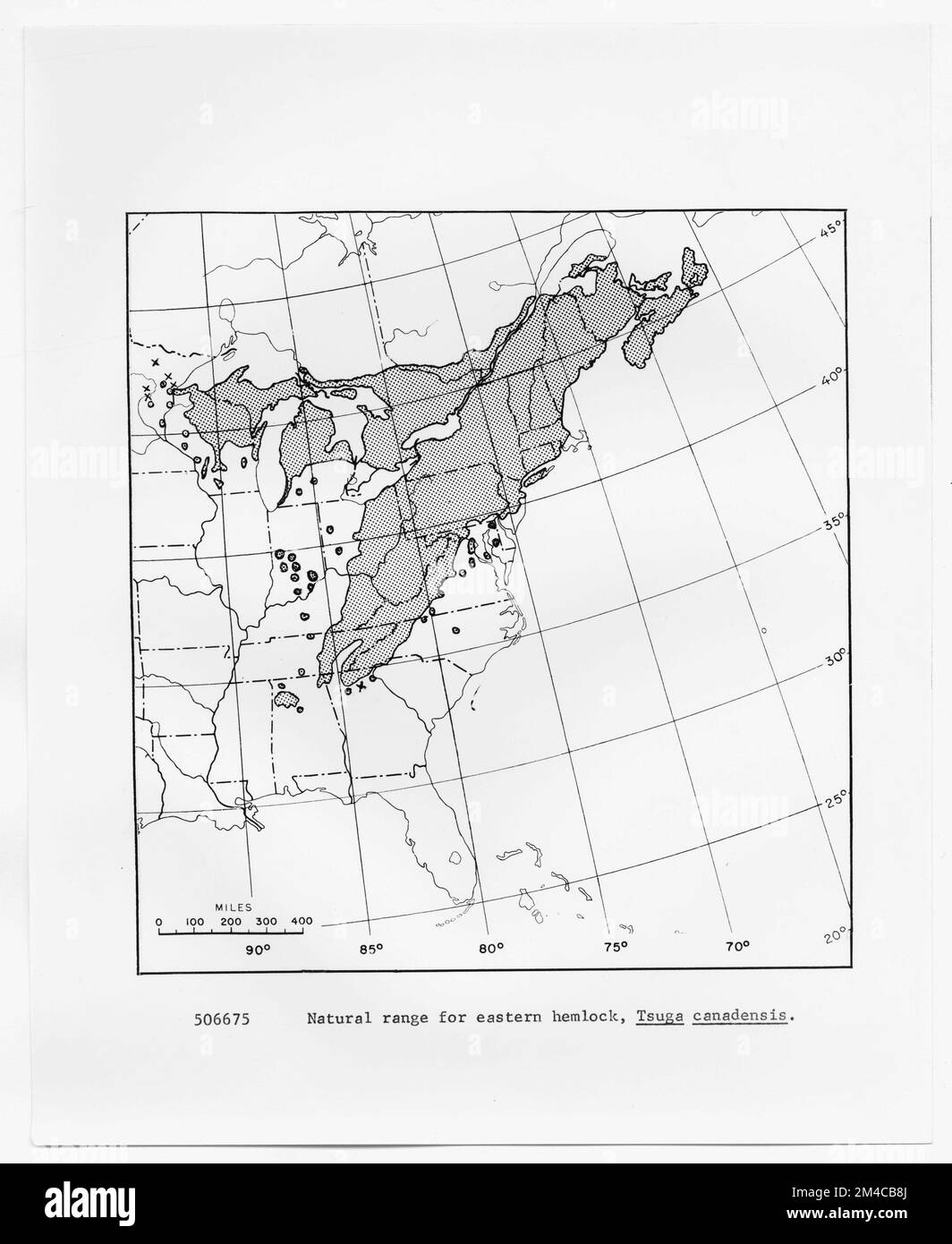 Maps and Charts - All States. Photographs Relating to National Forests ...