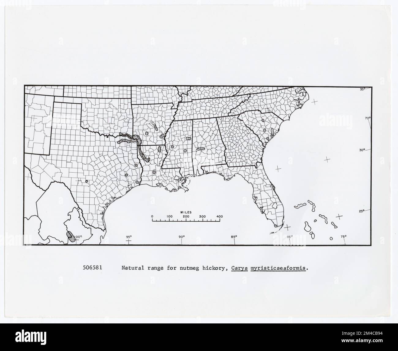 Maps and Charts - All States. Photographs Relating to National Forests ...