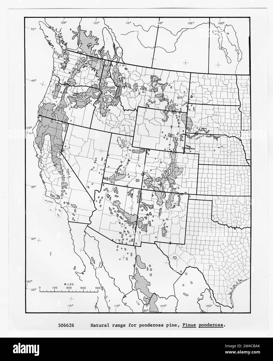 Maps and Charts - All States. Photographs Relating to National Forests ...