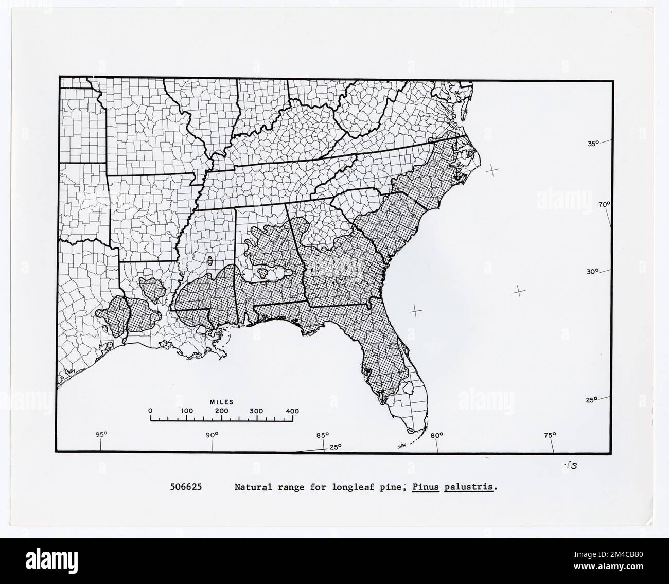 Maps and Charts - All States. Photographs Relating to National Forests ...