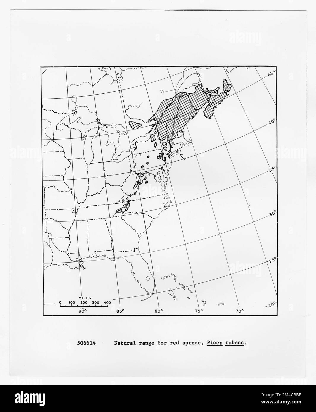 Maps and Charts - All States. Photographs Relating to National Forests ...