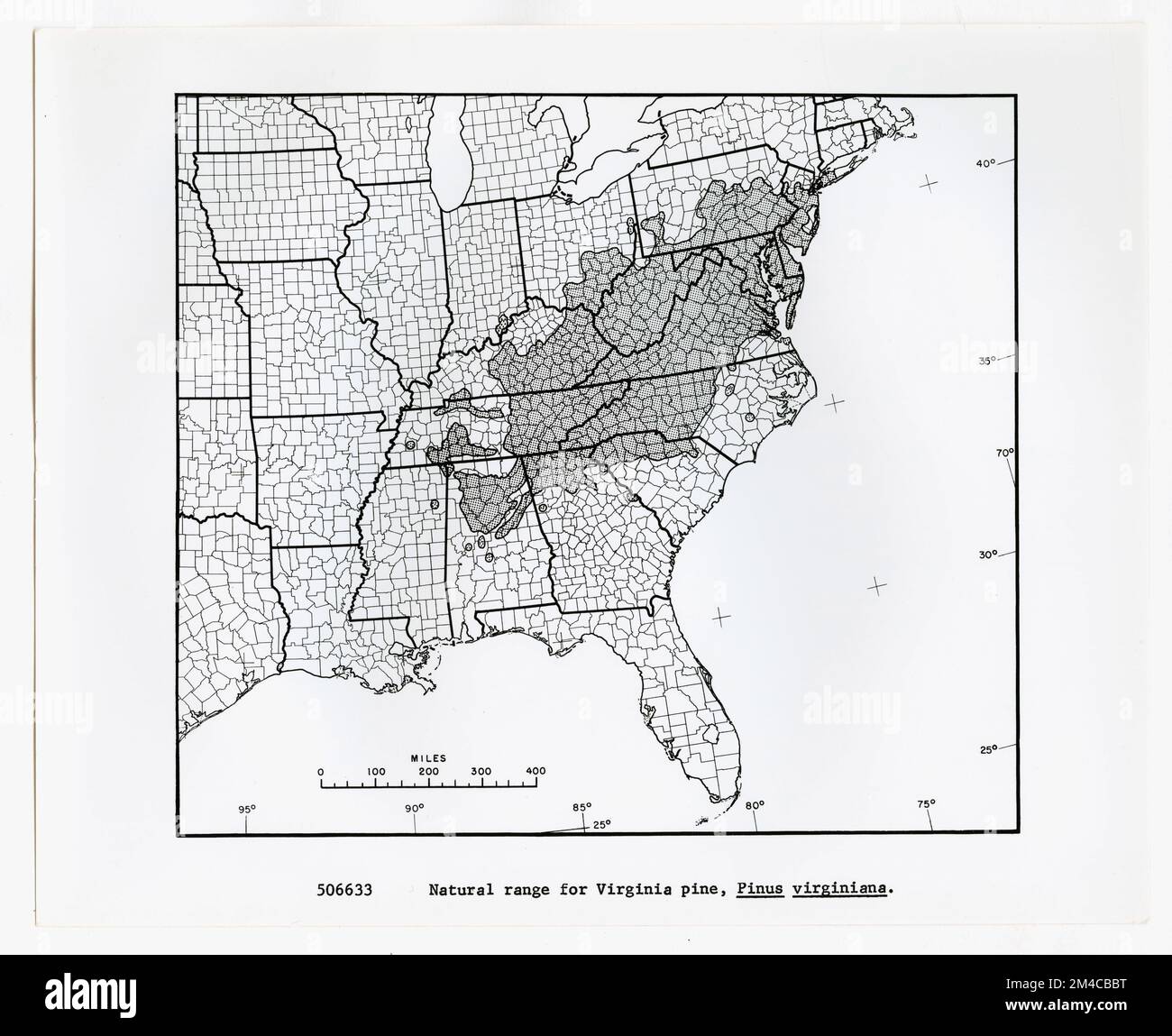 Maps and Charts - All States. Photographs Relating to National Forests ...