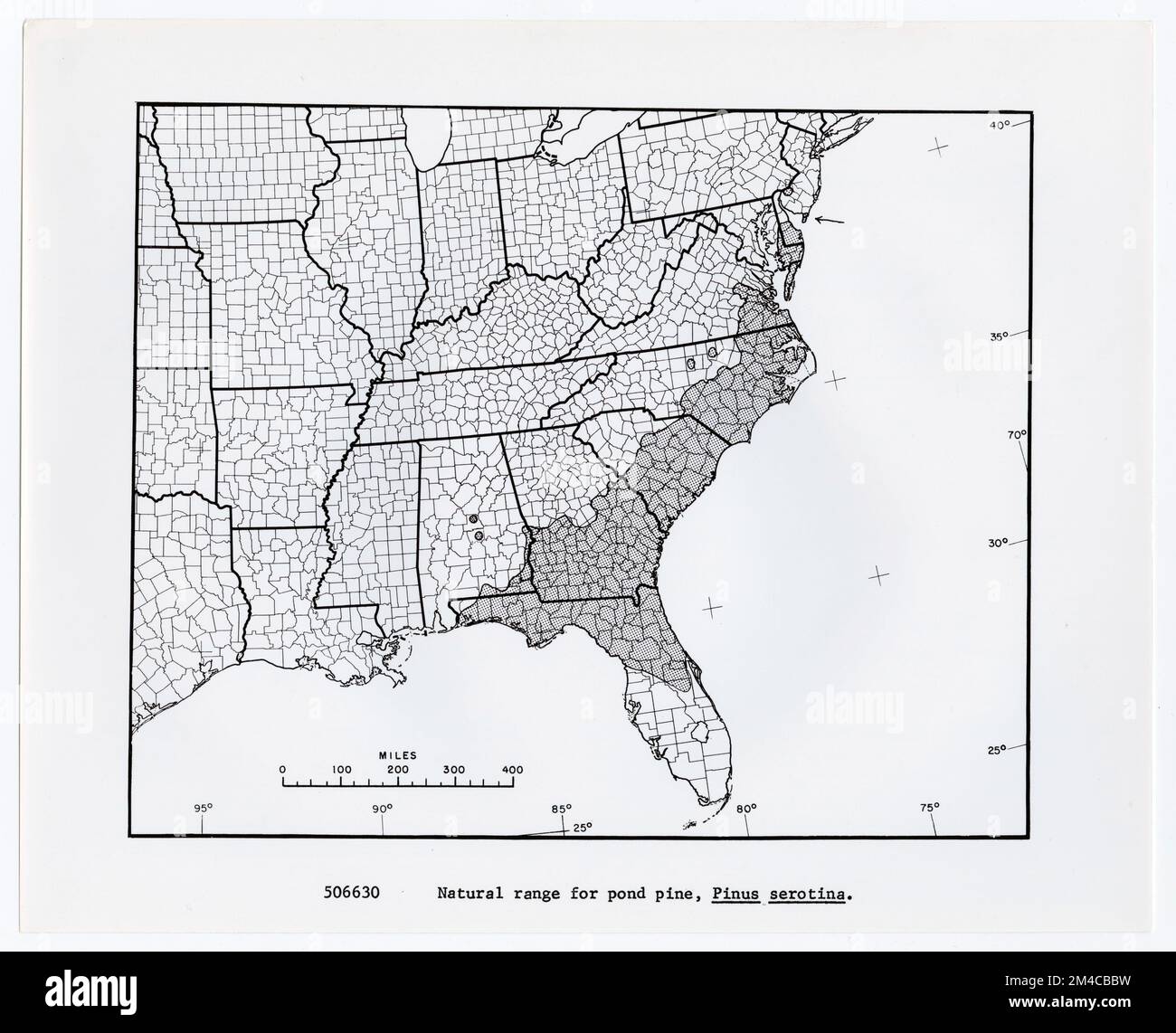 Maps and Charts - All States. Photographs Relating to National Forests ...