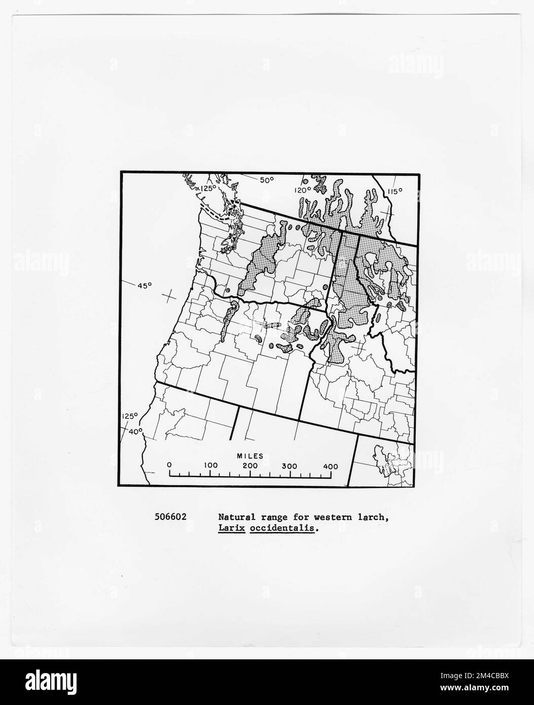 Maps and Charts - All States. Photographs Relating to National Forests ...