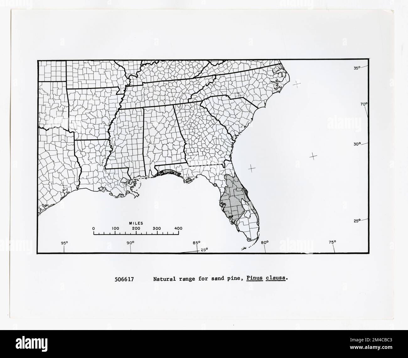 Maps and Charts - All States. Photographs Relating to National Forests ...