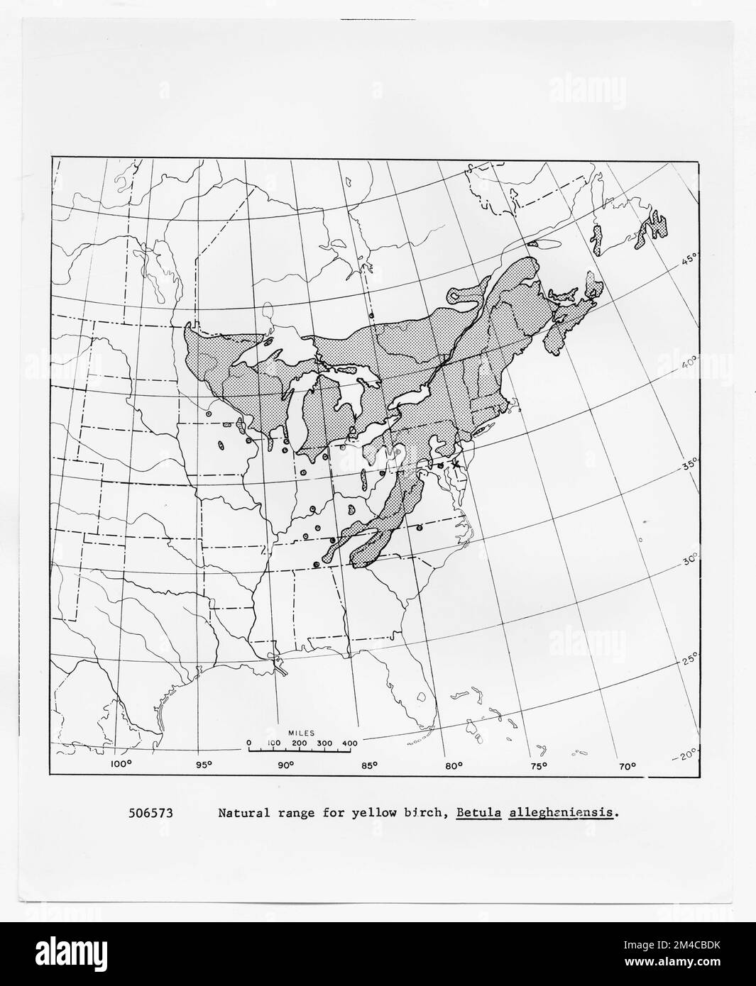 Maps and Charts - All States. Photographs Relating to National Forests ...