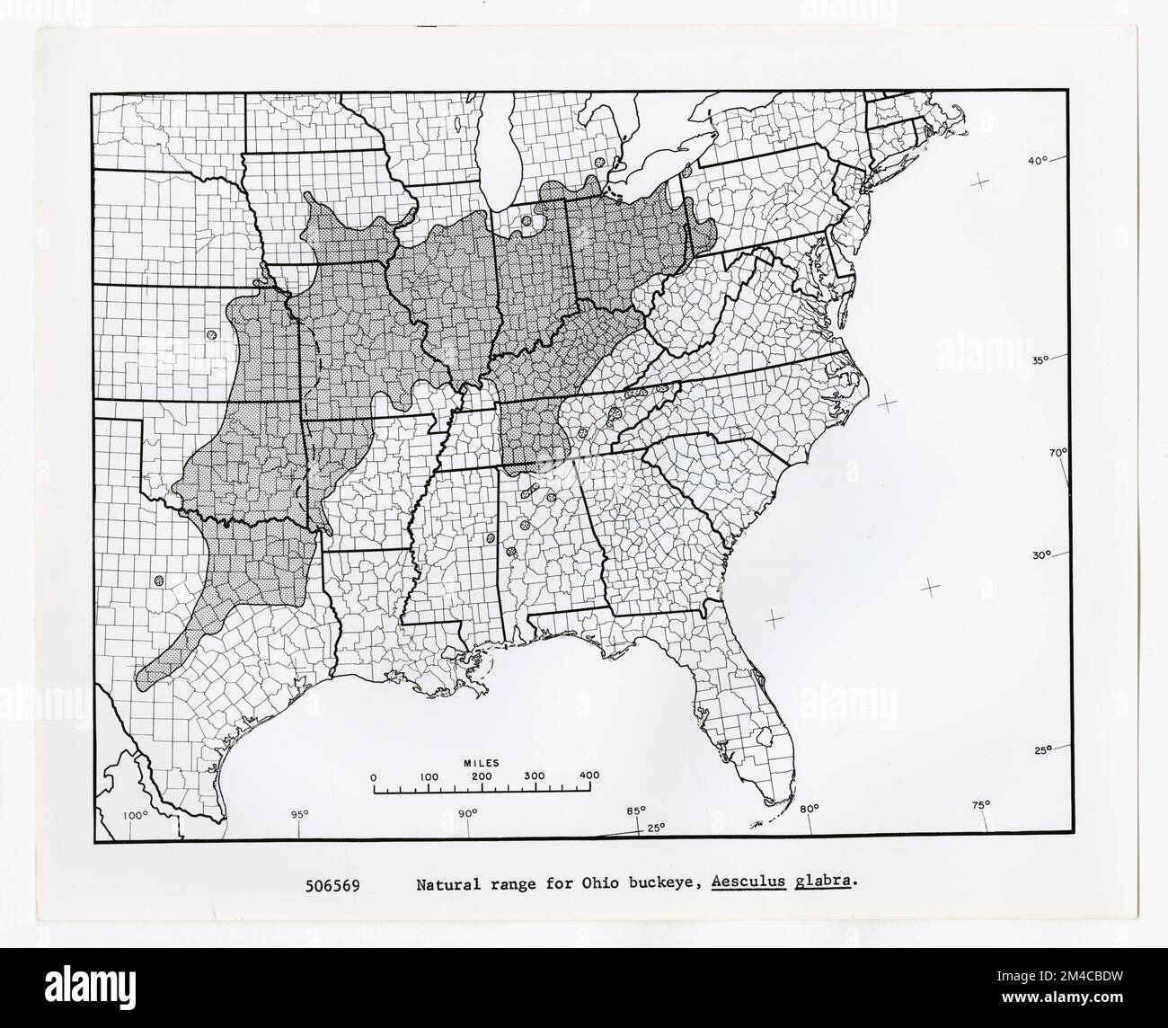 Maps and Charts - All States. Photographs Relating to National Forests ...