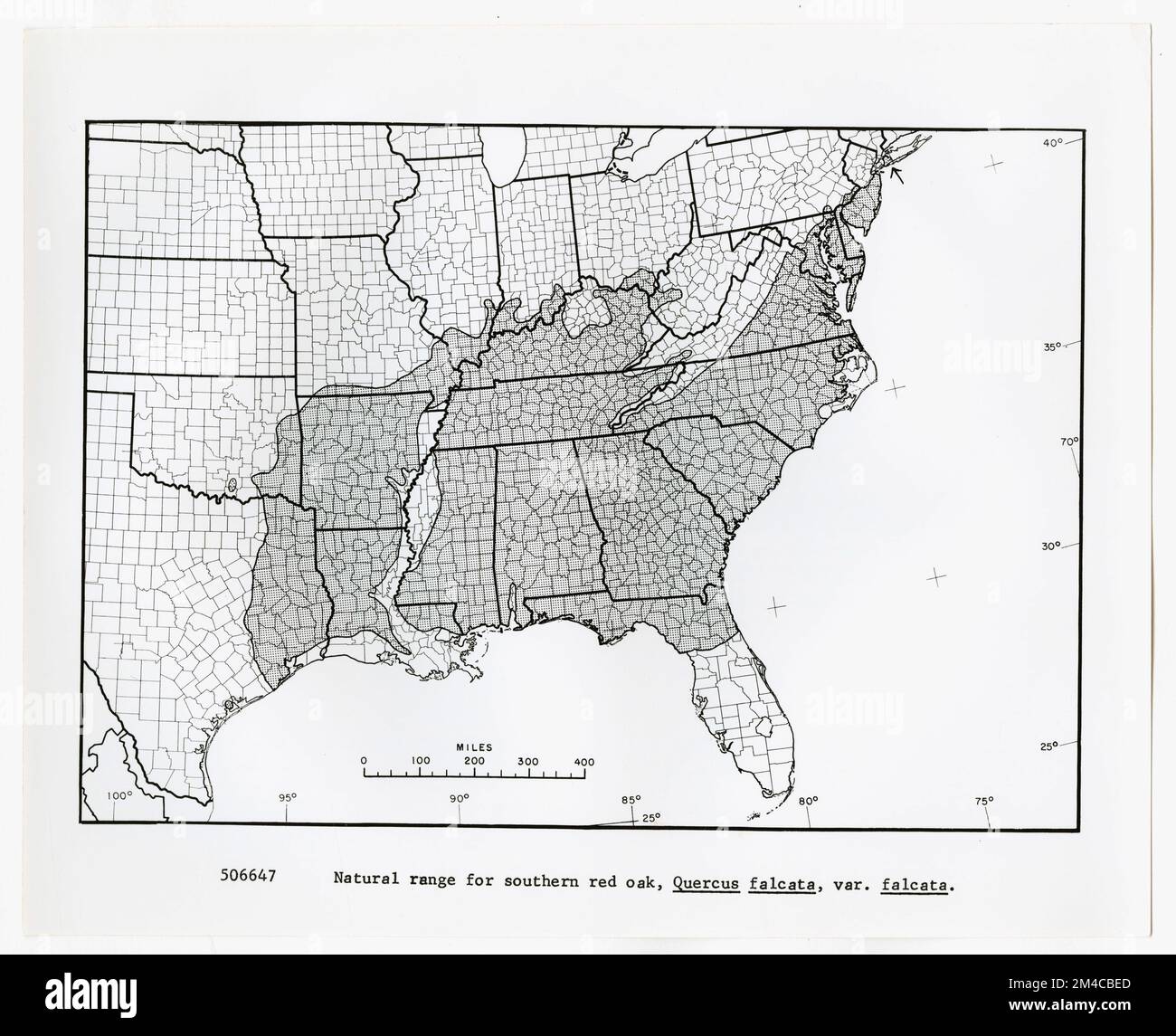Maps and Charts - All States. Photographs Relating to National Forests ...