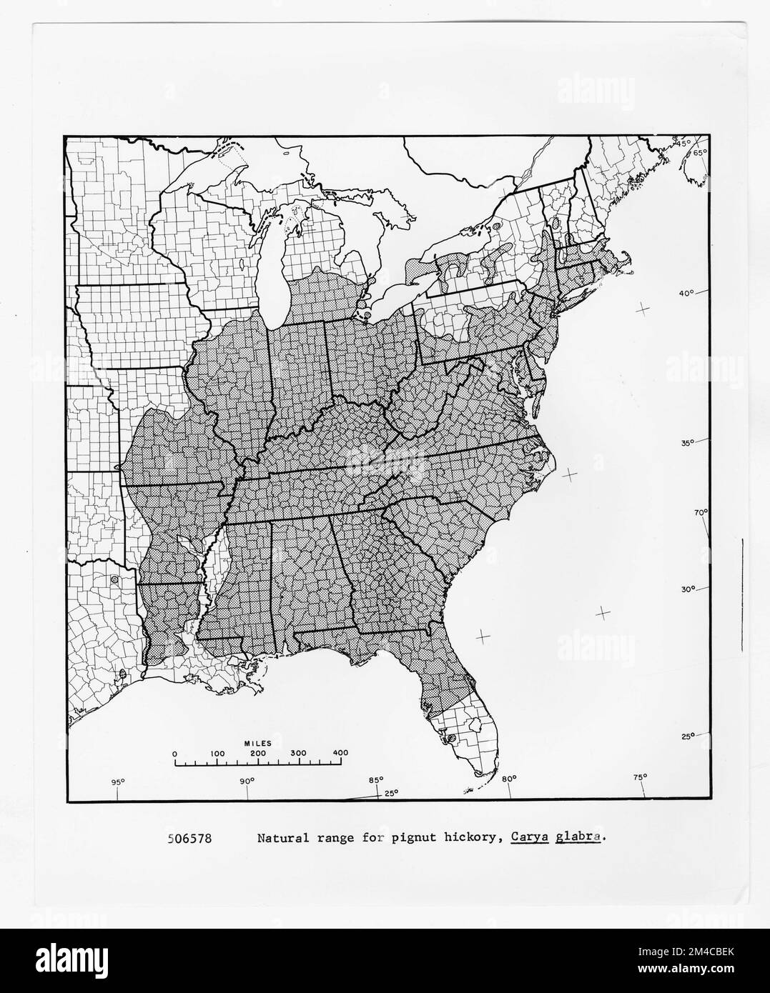 Maps and Charts - All States. Photographs Relating to National Forests ...
