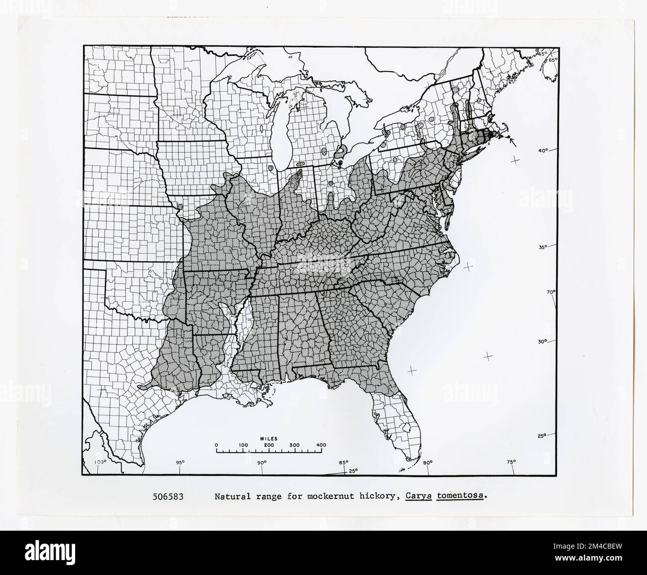 Maps and Charts - All States. Photographs Relating to National Forests ...