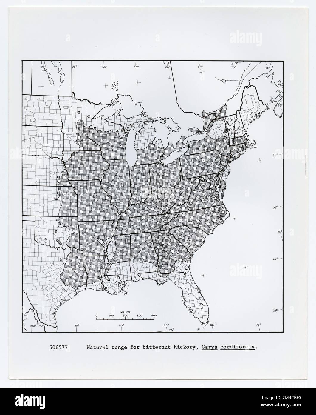 Maps and Charts - All States. Photographs Relating to National Forests ...