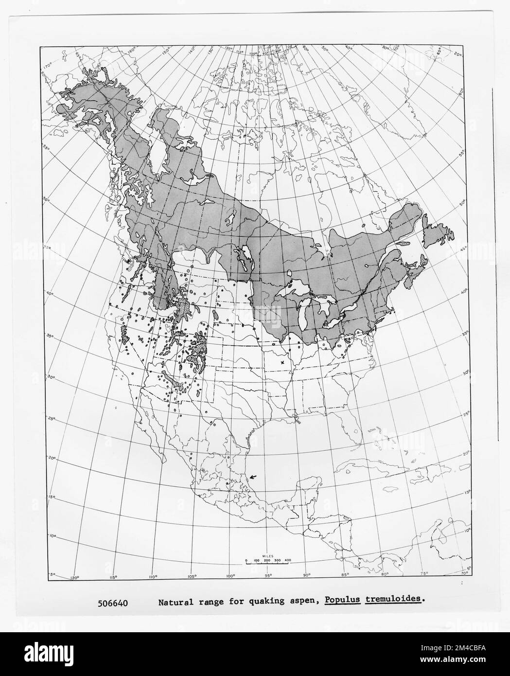 Maps and Charts - All States. Photographs Relating to National Forests ...