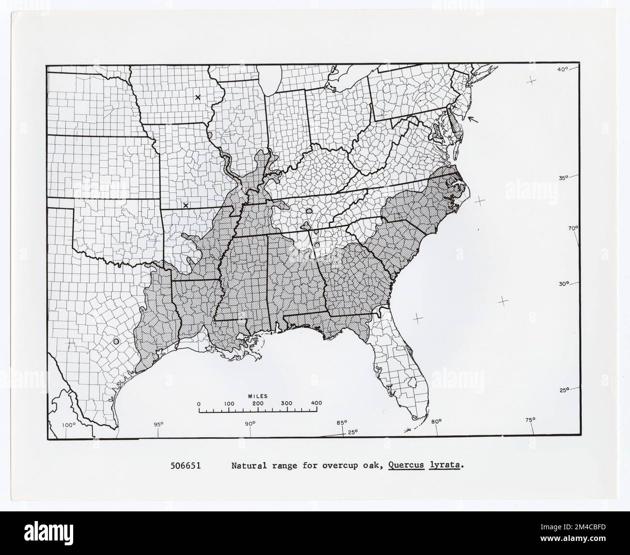 Maps and Charts - All States. Photographs Relating to National Forests ...