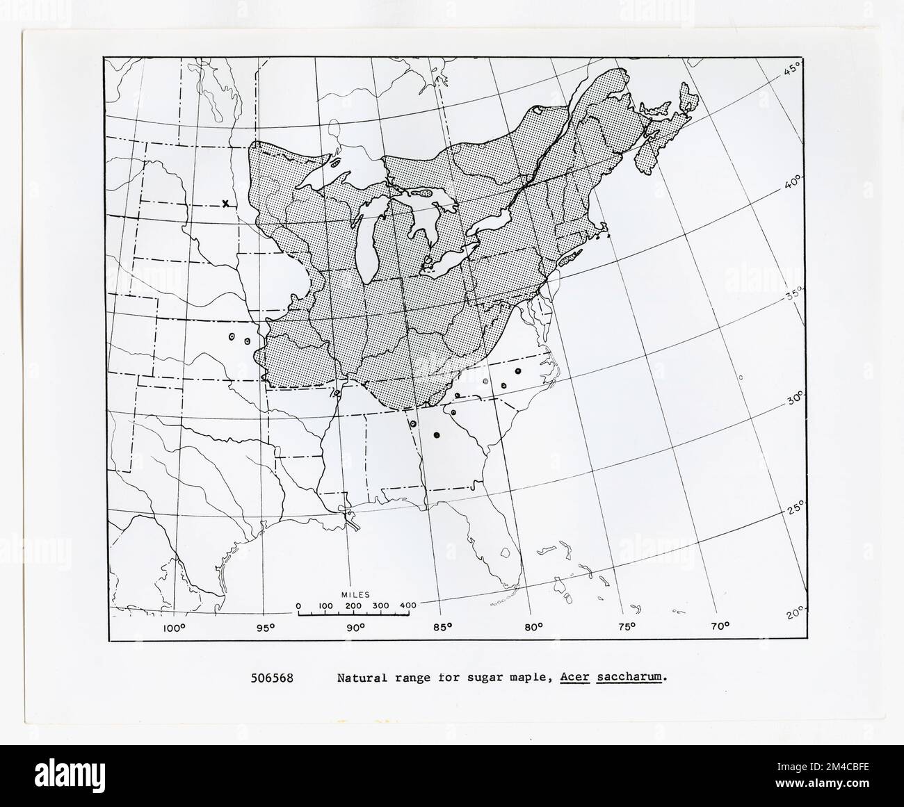 Maps and Charts - All States. Photographs Relating to National Forests ...