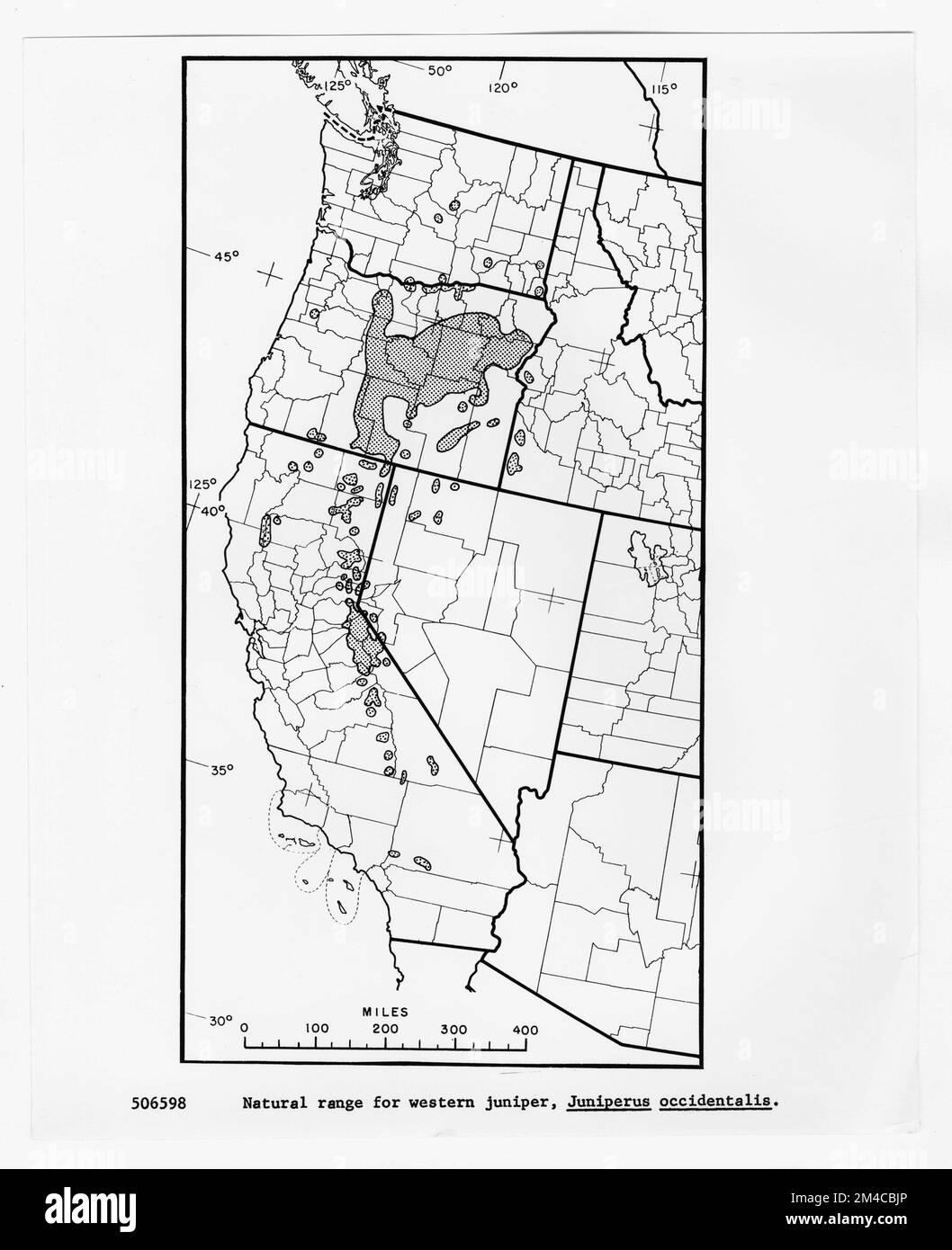 Maps and Charts - All States. Photographs Relating to National Forests ...