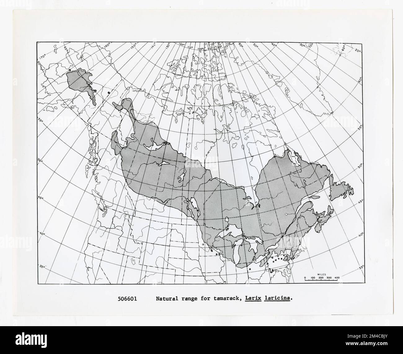 Maps and Charts - All States. Photographs Relating to National Forests ...