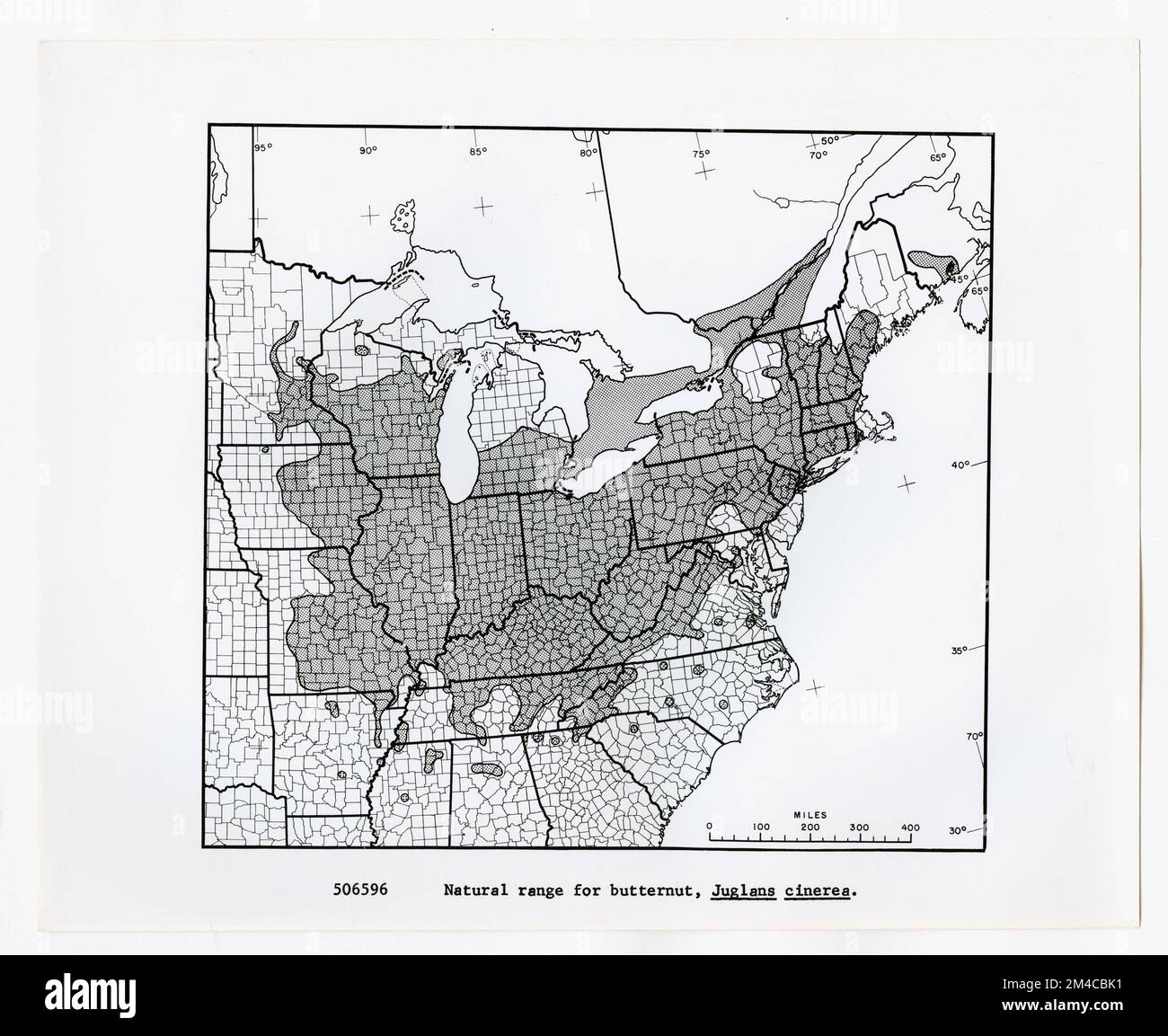 Maps and Charts - All States. Photographs Relating to National Forests ...