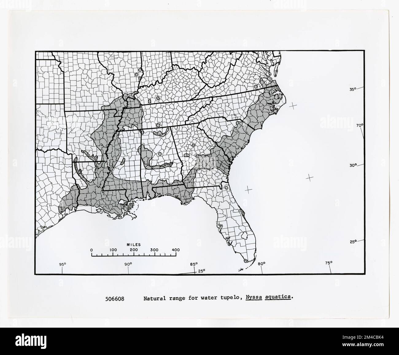 Maps and Charts - All States. Photographs Relating to National Forests ...
