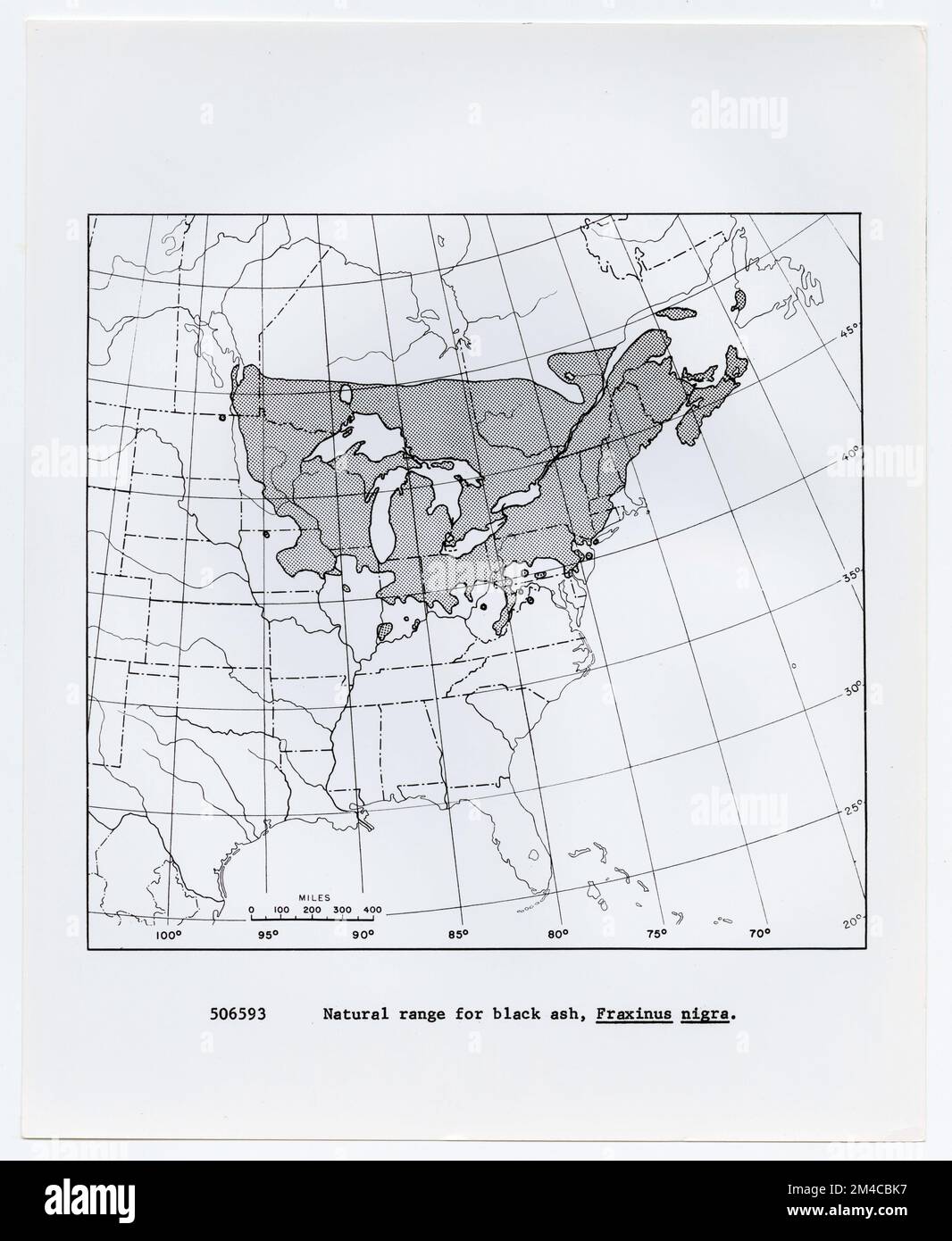 Maps and Charts - All States. Photographs Relating to National Forests ...