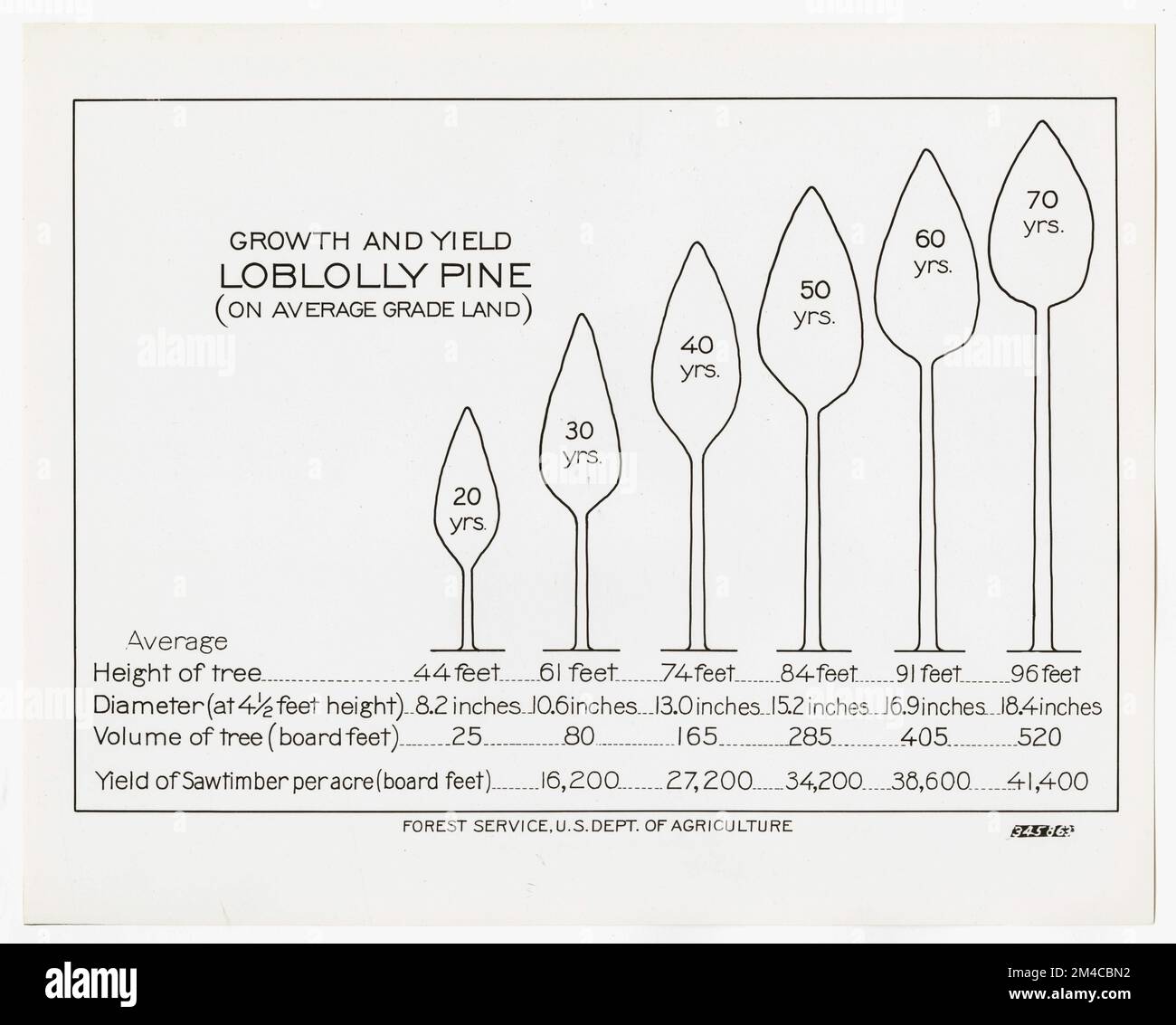 Maps and Charts - All States. Photographs Relating to National Forests ...