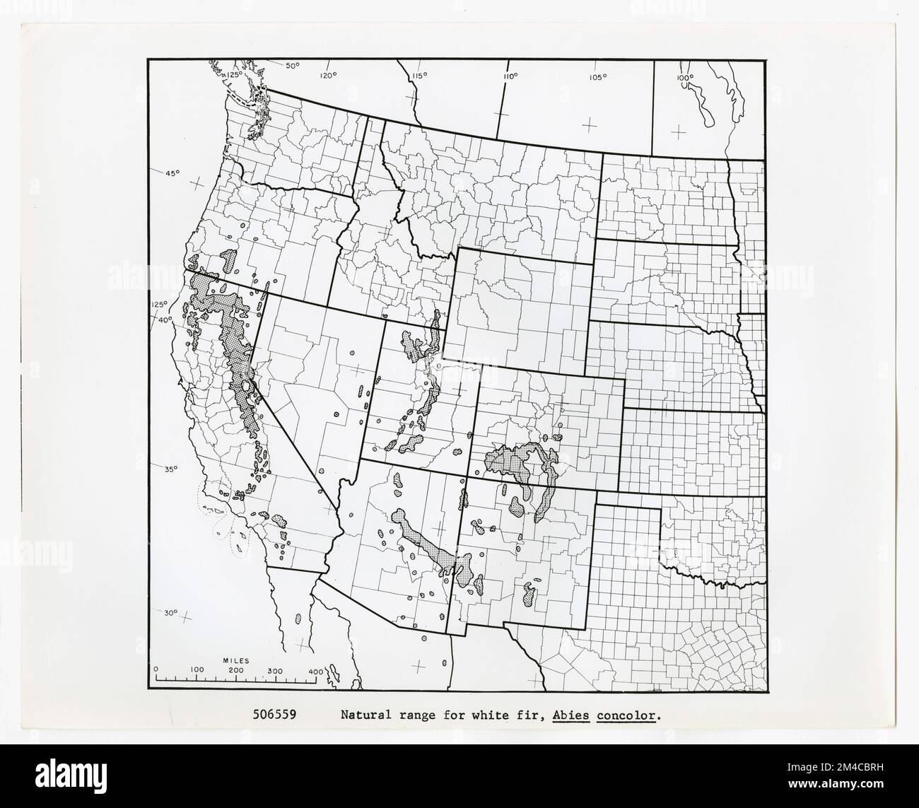 Maps and Charts - All States. Photographs Relating to National Forests ...