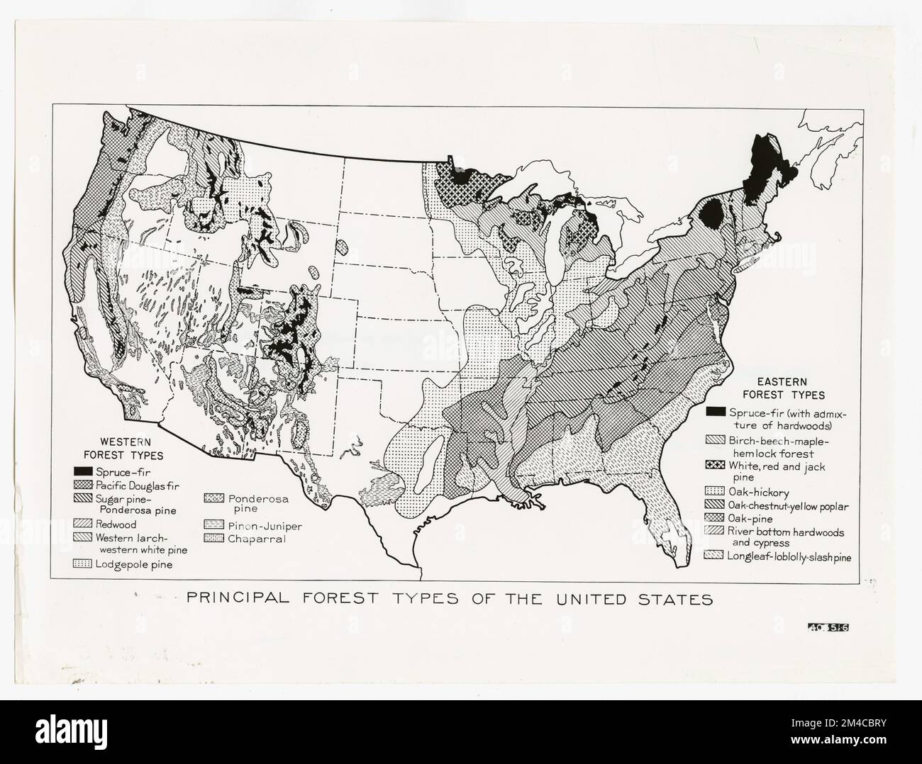 Maps and Charts - All States. Photographs Relating to National Forests ...