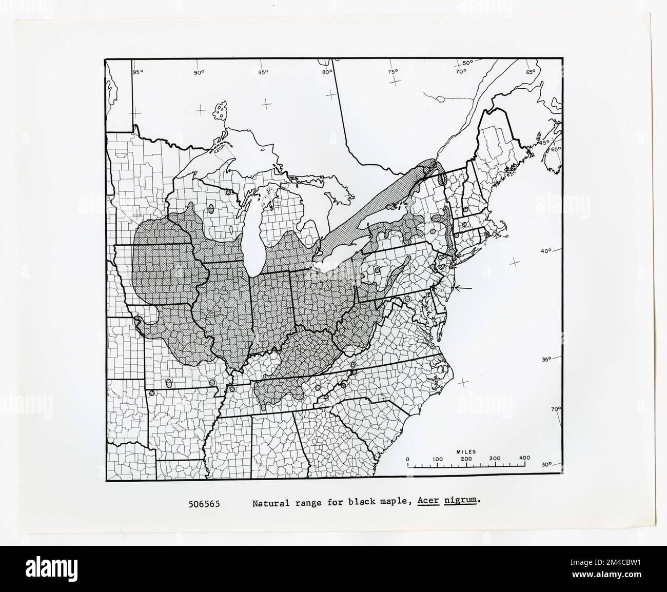 Maps and Charts - All States. Photographs Relating to National Forests ...