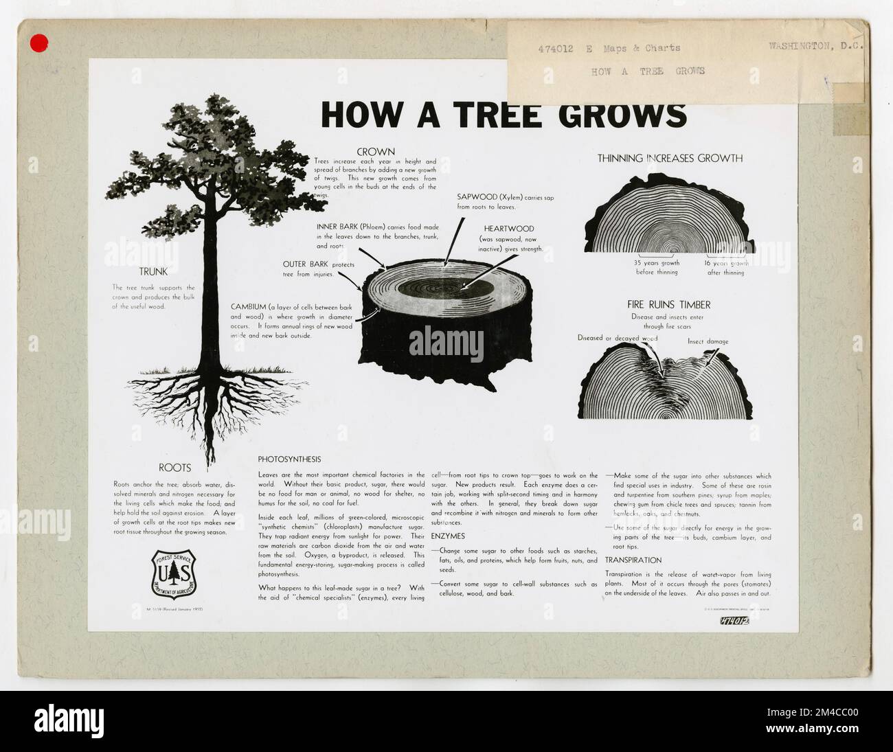Maps and Charts - All States. Photographs Relating to National Forests ...