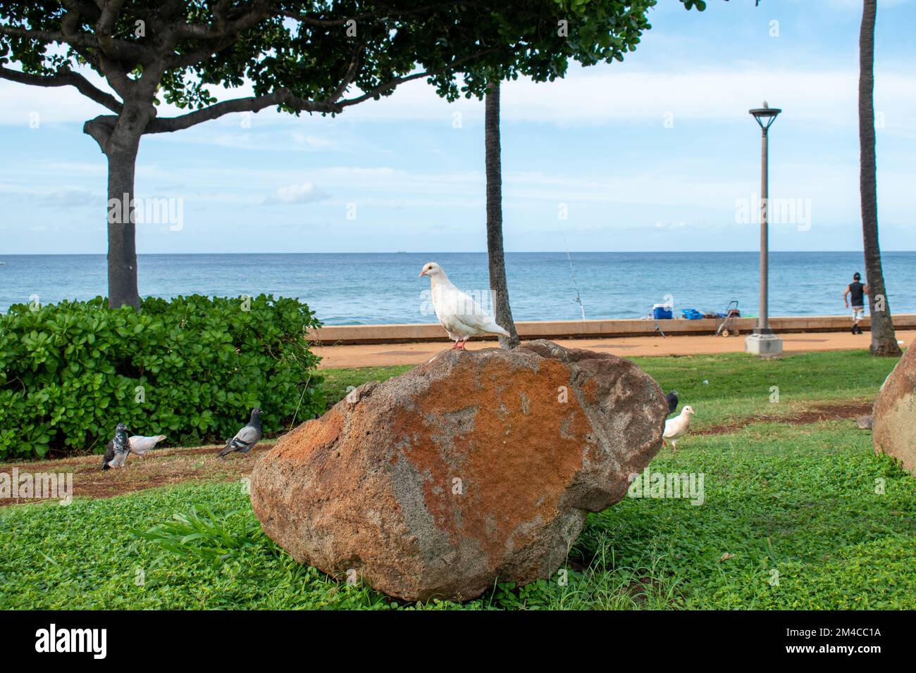 This picture was taken at Point Panic at the end of Ward Ave on the ...