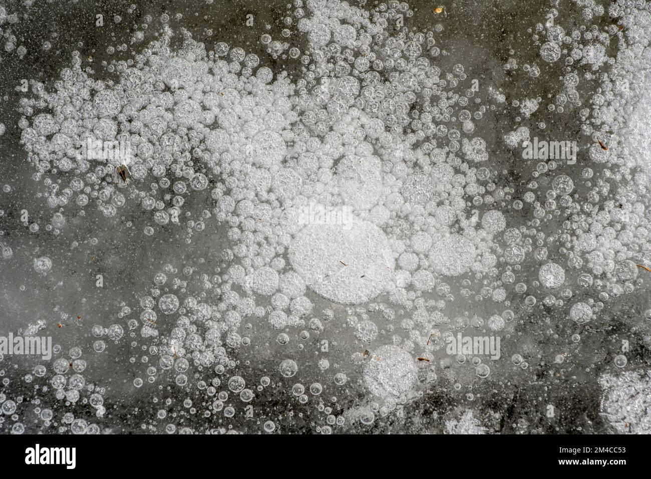 Ice patterns at the edge of a frozen channel in the beaver pond ...