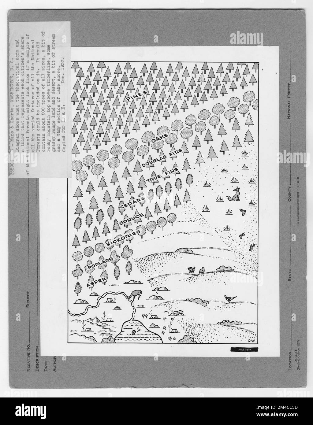 Maps and Charts - All States. Photographs Relating to National Forests ...