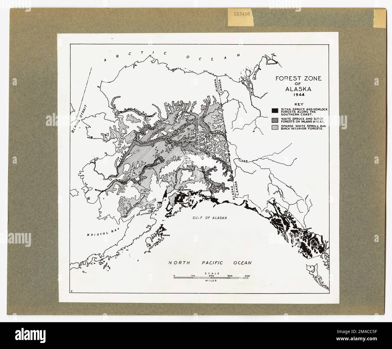 Maps and Charts - All States. Photographs Relating to National Forests ...