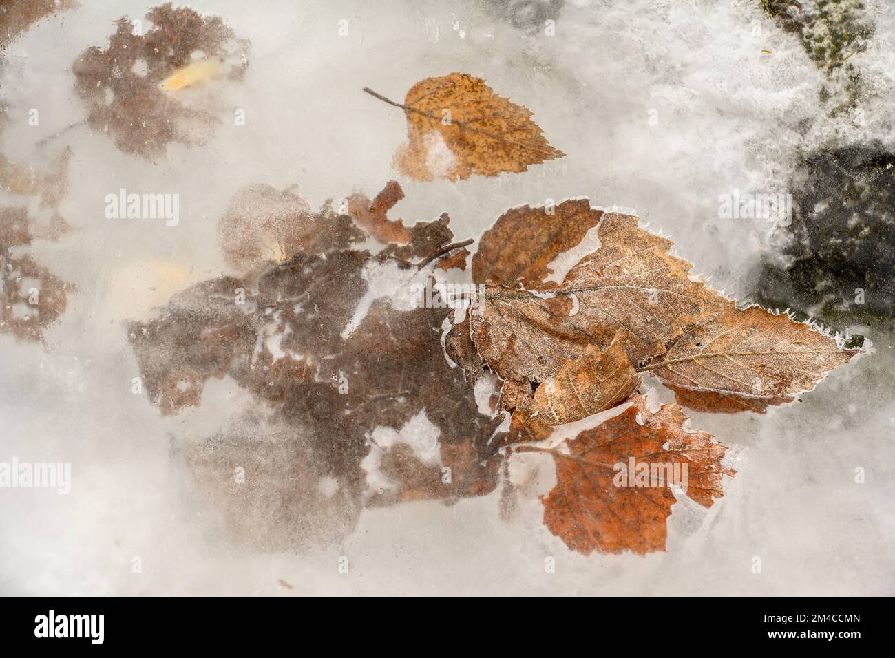 Frozen runoff patterns hi-res stock photography and images - Alamy