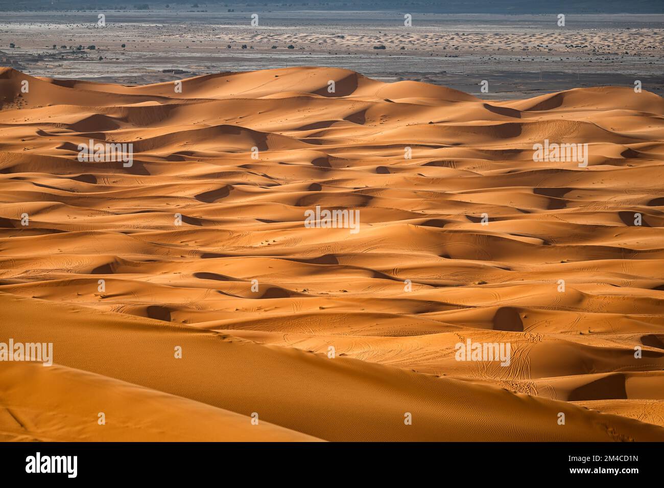 Sahara Desert sand dunes background. Popular travel destination, Erg ...