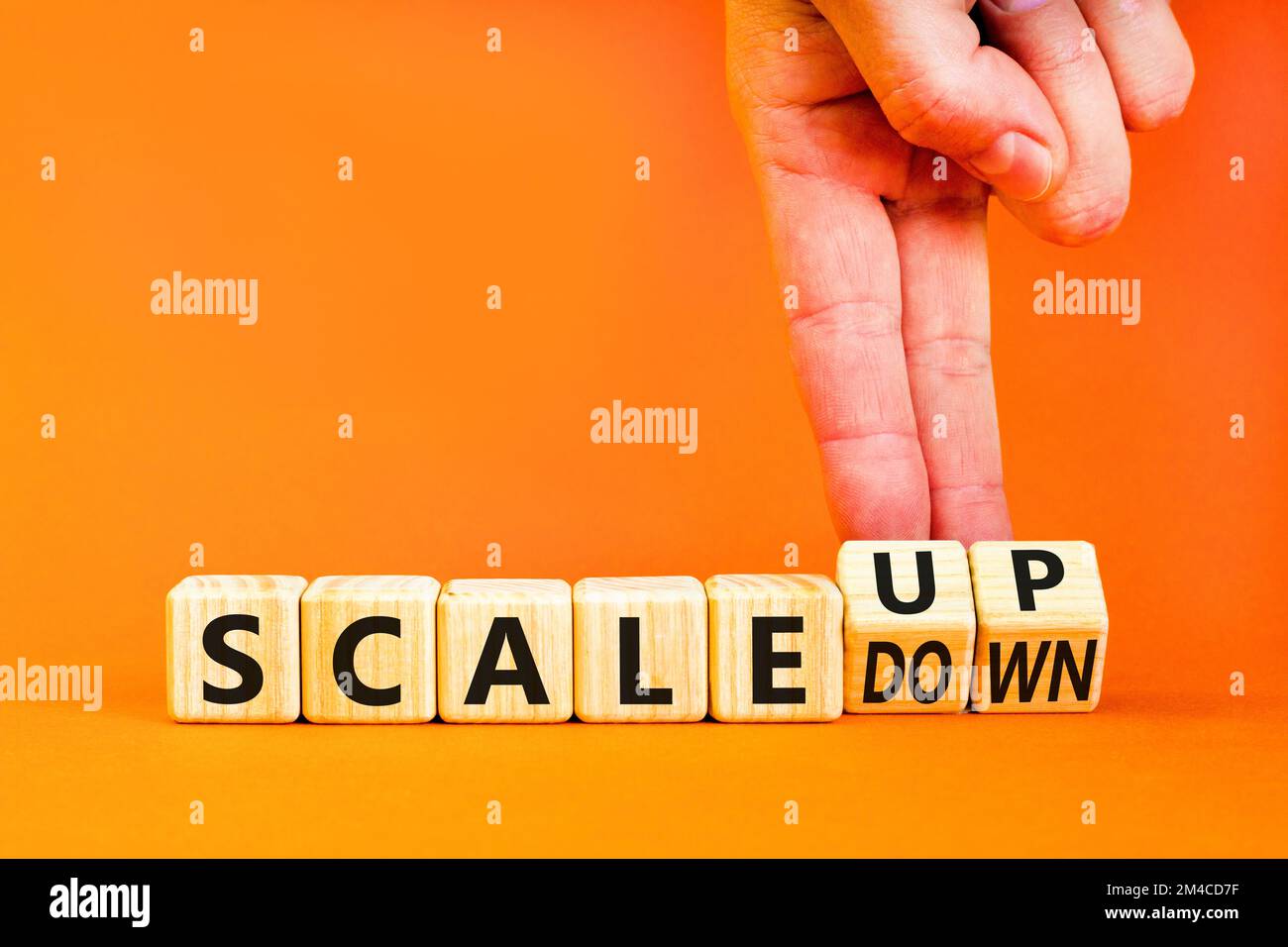 Scale up or down symbol. Concept words Scale up Scale down wooden cubes ...