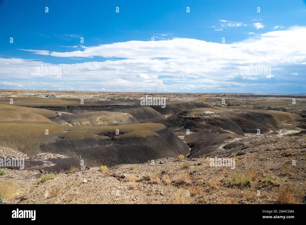 Photograph of the view in the King of Wings area,near Nageezi, New ...