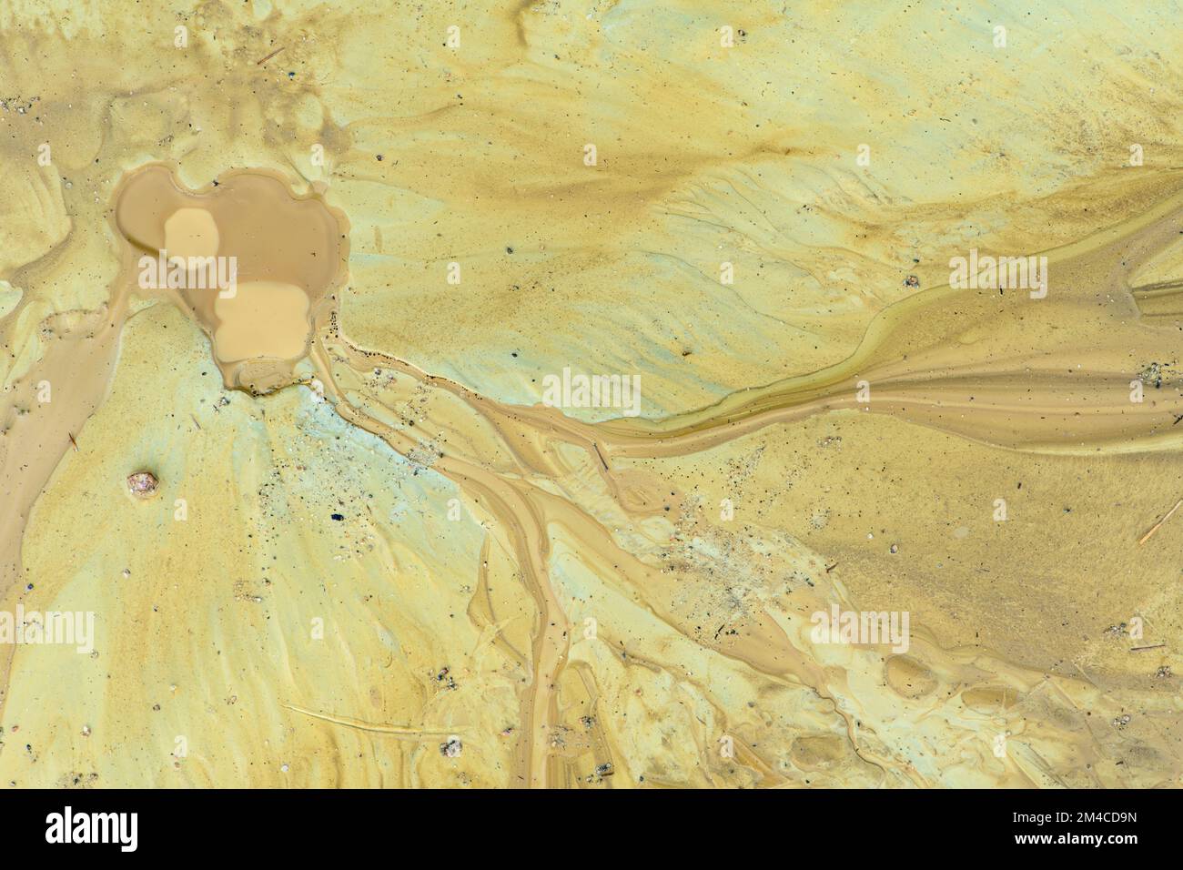 Jellybelly' mud, sand patterns formed as the ground thaws in early ...