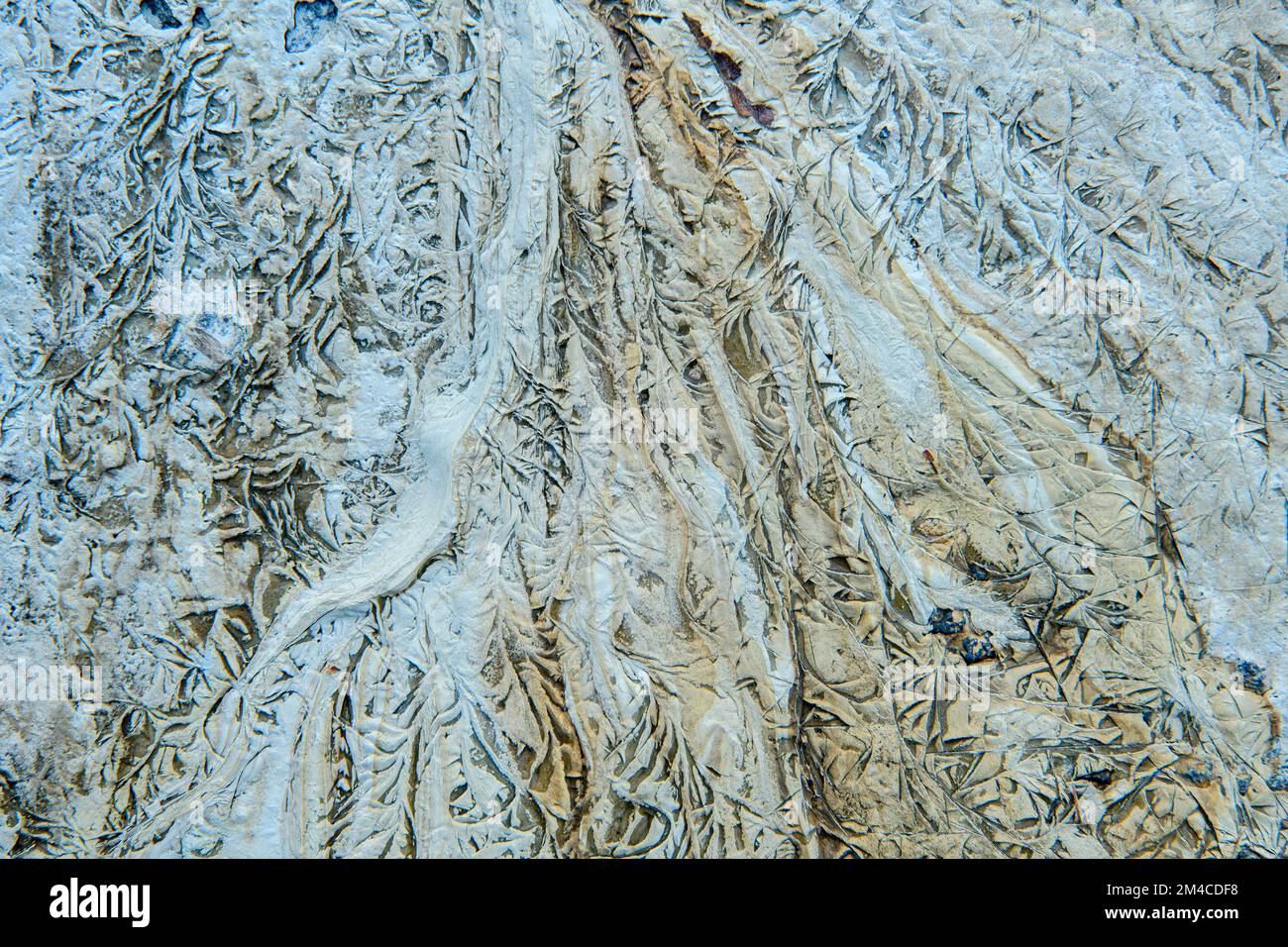 Jellybelly' mud, sand patterns formed as the ground thaws in early ...