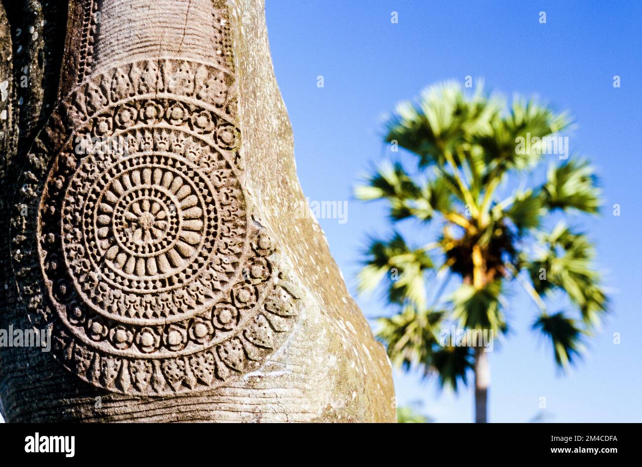 Angkor Wat, fascinating rockcarvings Stock Photo - Alamy