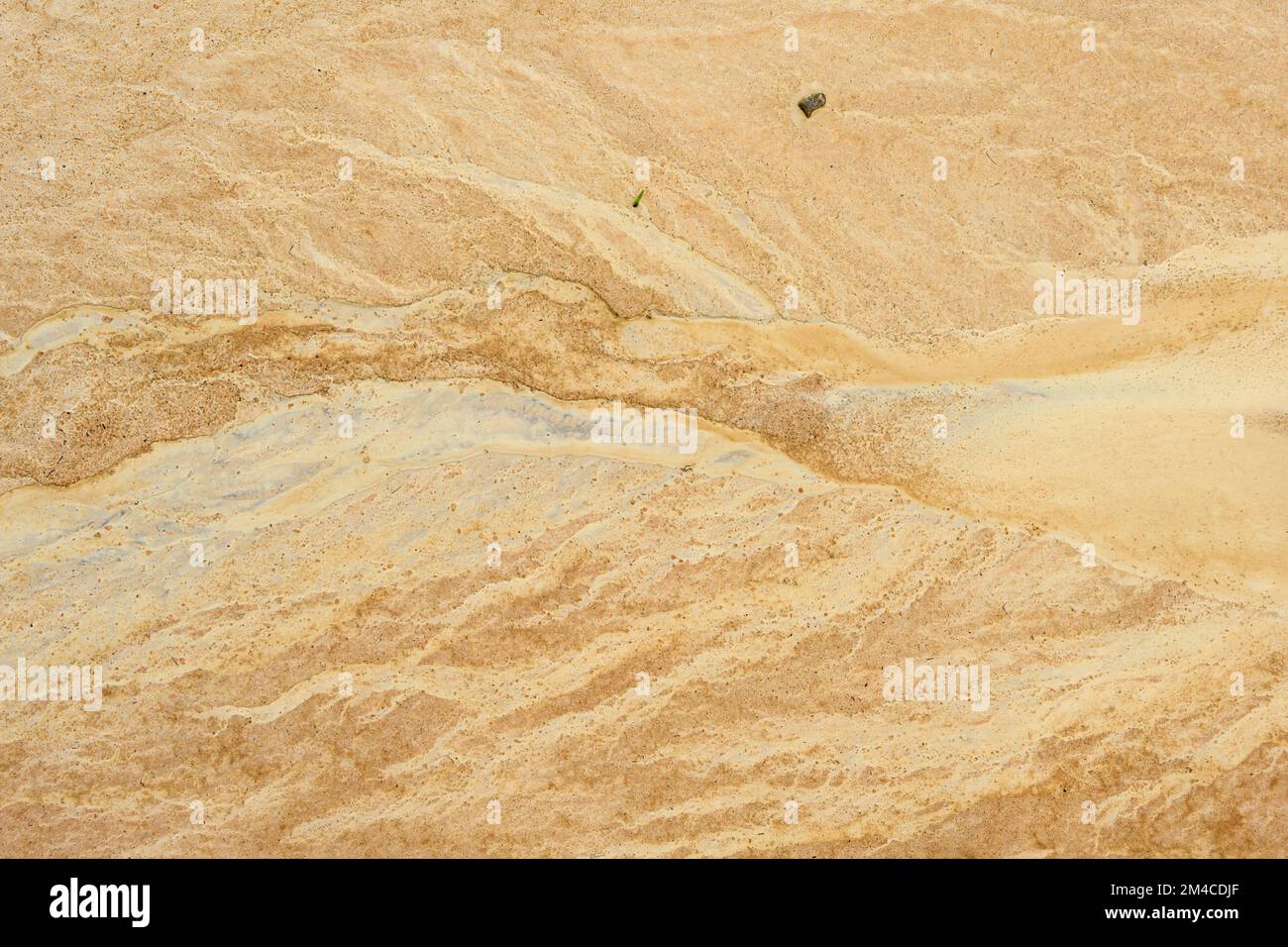 Jellybelly' mud, sand patterns formed as the ground thaws in early ...