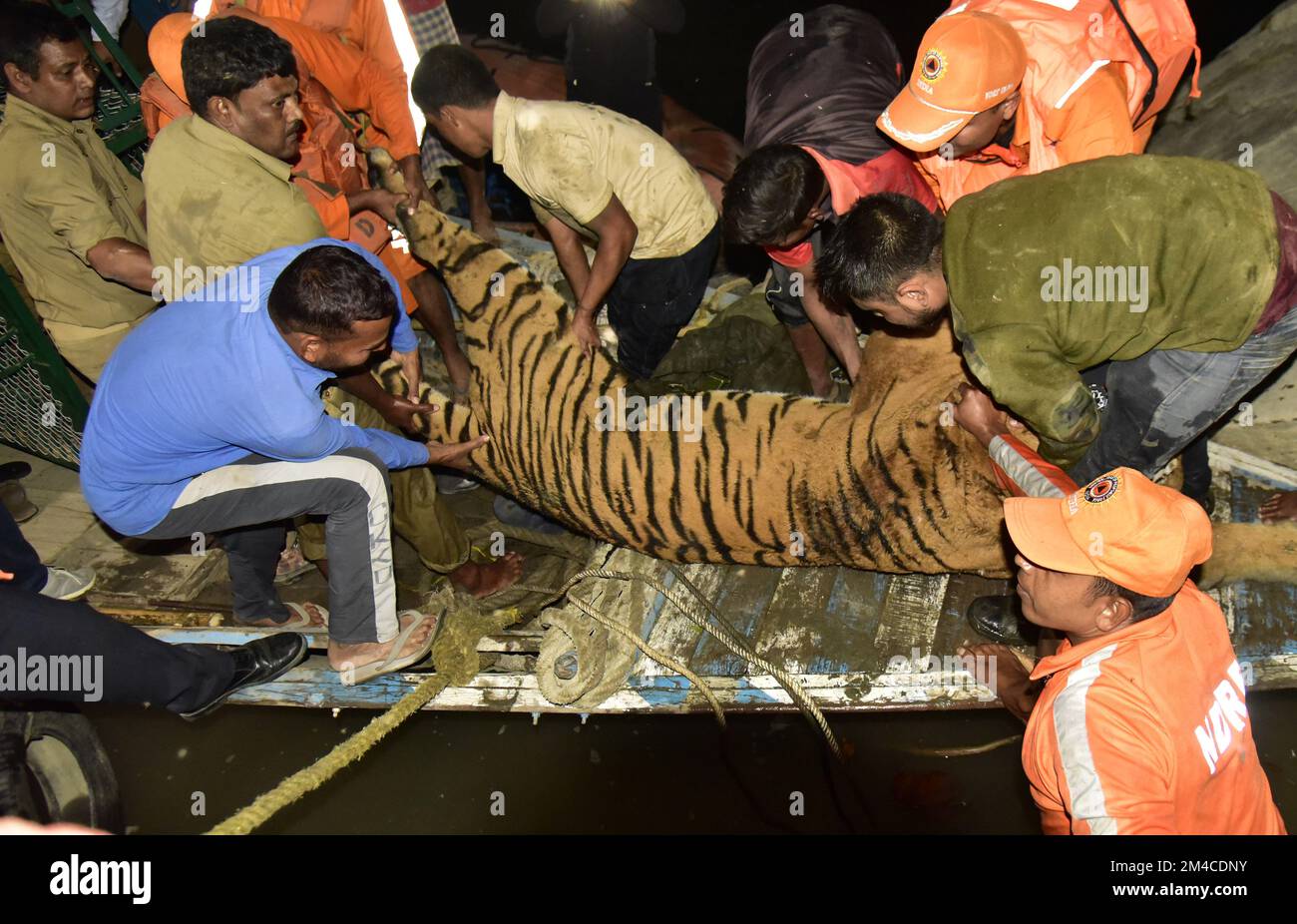 Guwahati, Guwahati, India. 20th Dec, 2022. National Disaster Respond ...