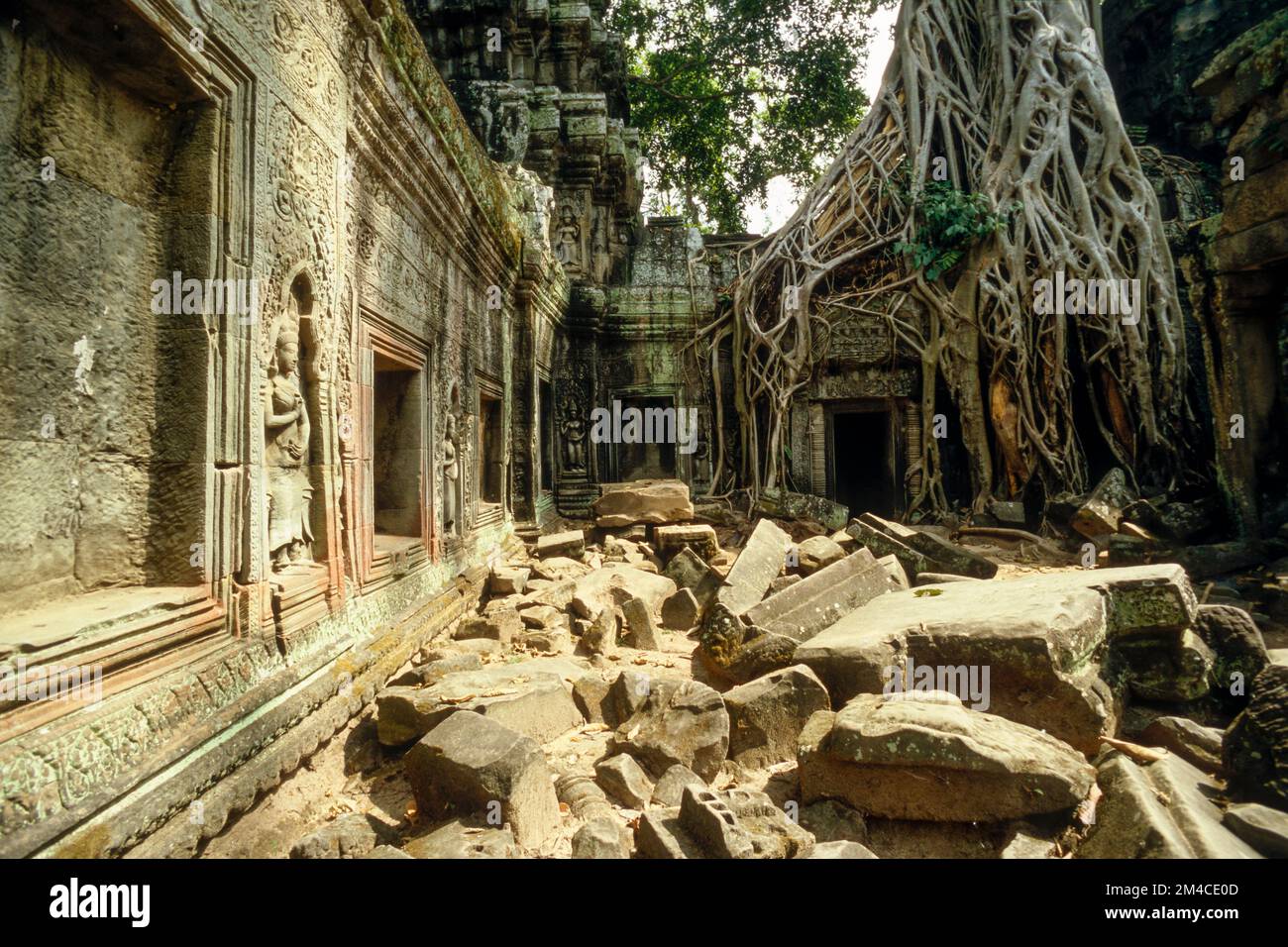 Ta Prom, jungle is growing over Stock Photo - Alamy