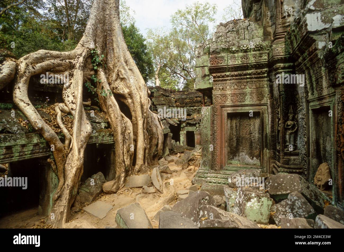 Ta Prom, jungle is growing over Stock Photo - Alamy