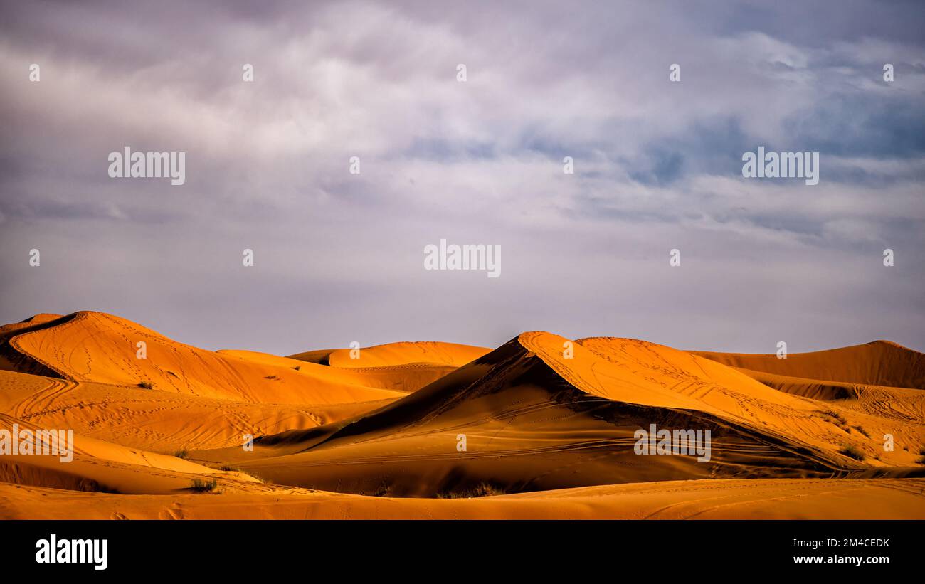 Sahara Desert sand dunes background. Popular travel destination, Erg ...