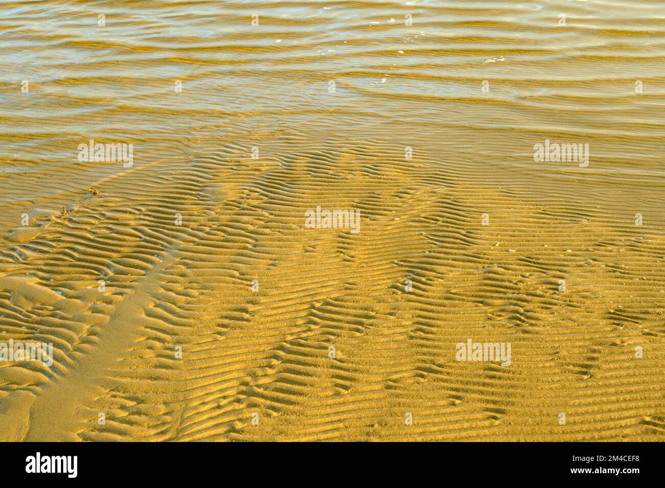 Lake Huron water ripples, sand ripples at the Singing Sands at Dorcas ...